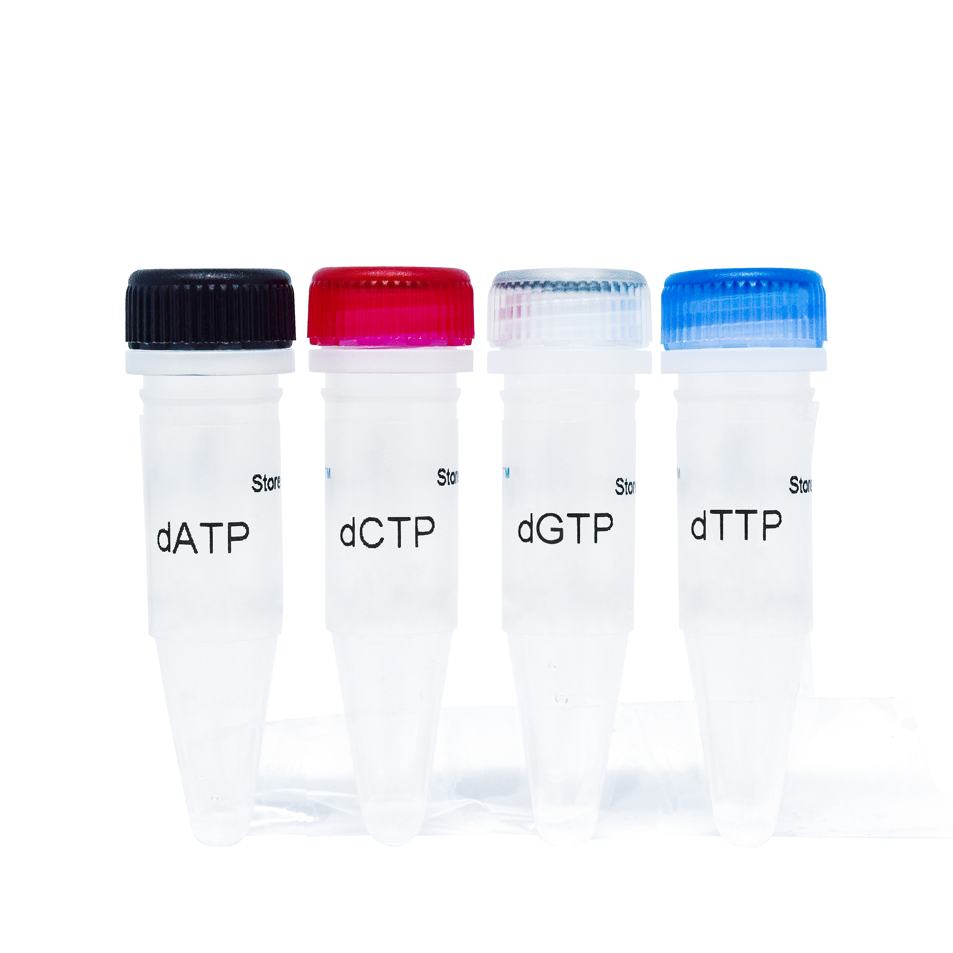 100 mM dNTP Set (Photo for 10mM) For Polymerase Chain Reaction (PCR ...